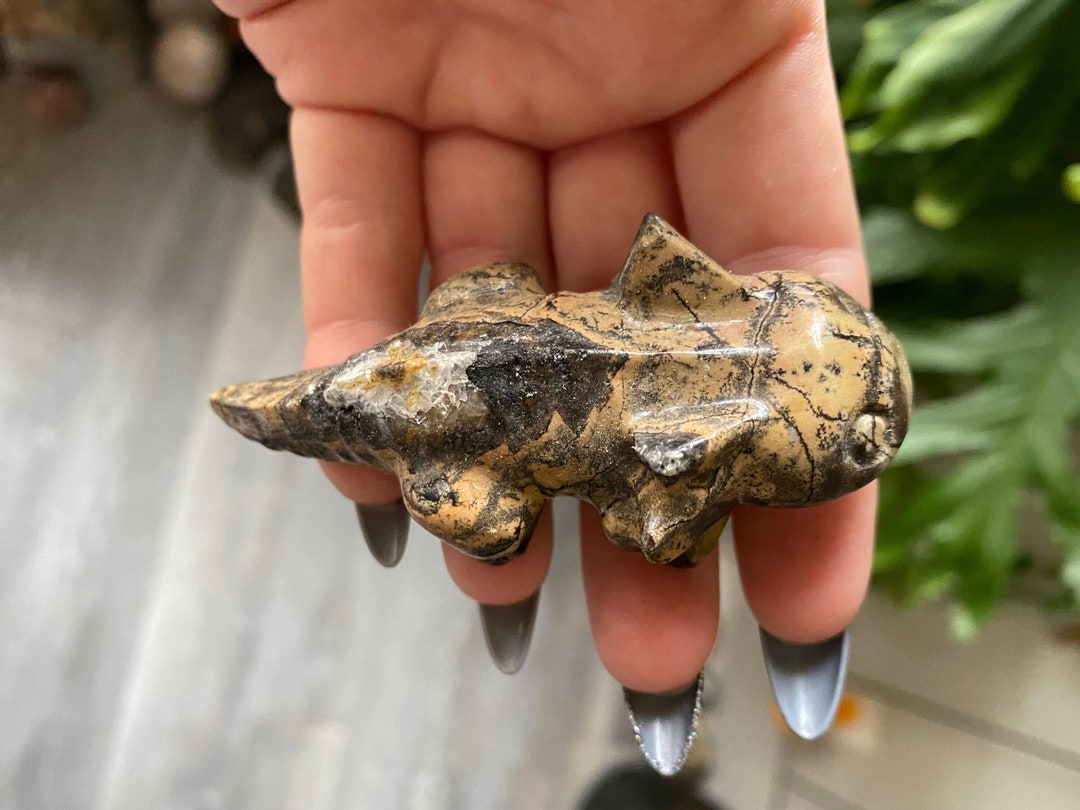 Picture Jasper Axolotl Crystal | Natural Carved and Polished Stone ...