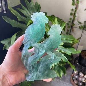 1.4lb Fluorite Birds Crystal | Natural Stone Carved Parrots Cockatoos ...