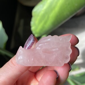 Rose Quartz Dragon Skull Crystal Mini | Natural Rose Quartz Stone ...