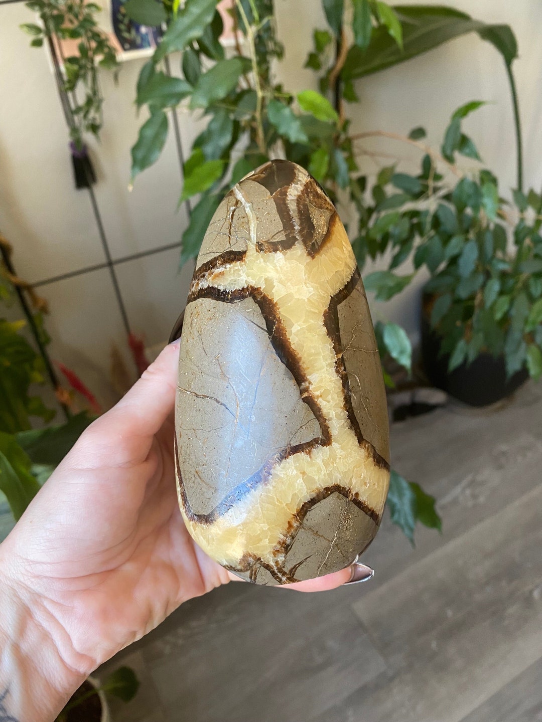 1.9lb Septarian Stone Free Form Polished Smooth Large Dragon Stone ...