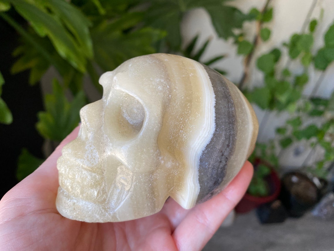 1.2lb Zebra Calcite Skull Crystal | Natural Stone Carved Phantom ...
