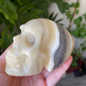 1.2lb Zebra Calcite Skull Crystal | Natural Stone Carved Phantom ...