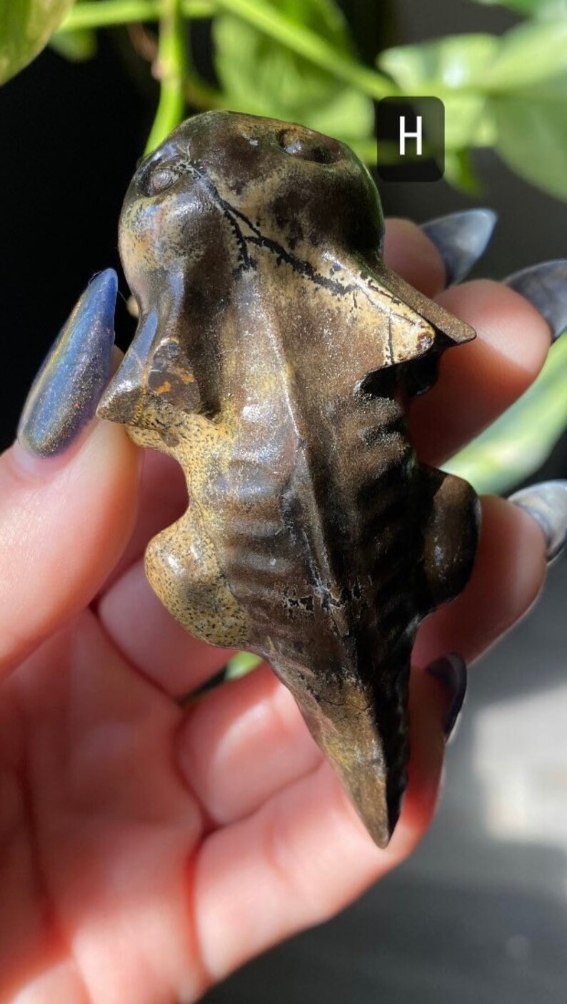 Picture Jasper Axolotl Crystal | Natural Carved and Polished Stone ...