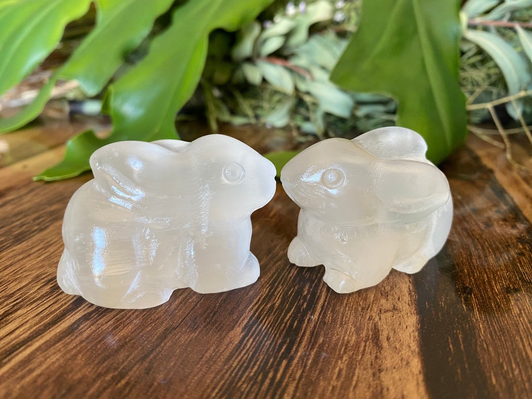 Selenite Rabbit Crystal | Natural Stone Carved Bunny | Metaphysical ...