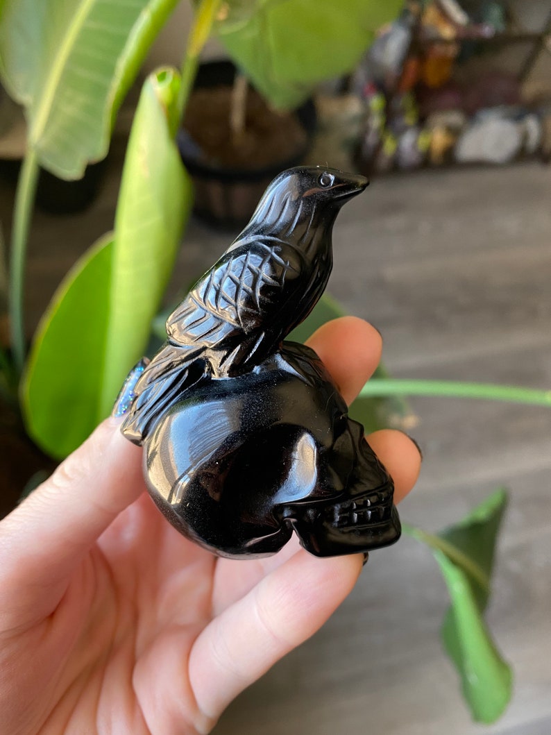 Black Obsidian Skull and Raven Crow Bird | Crystal Metaphysical Witchy ...