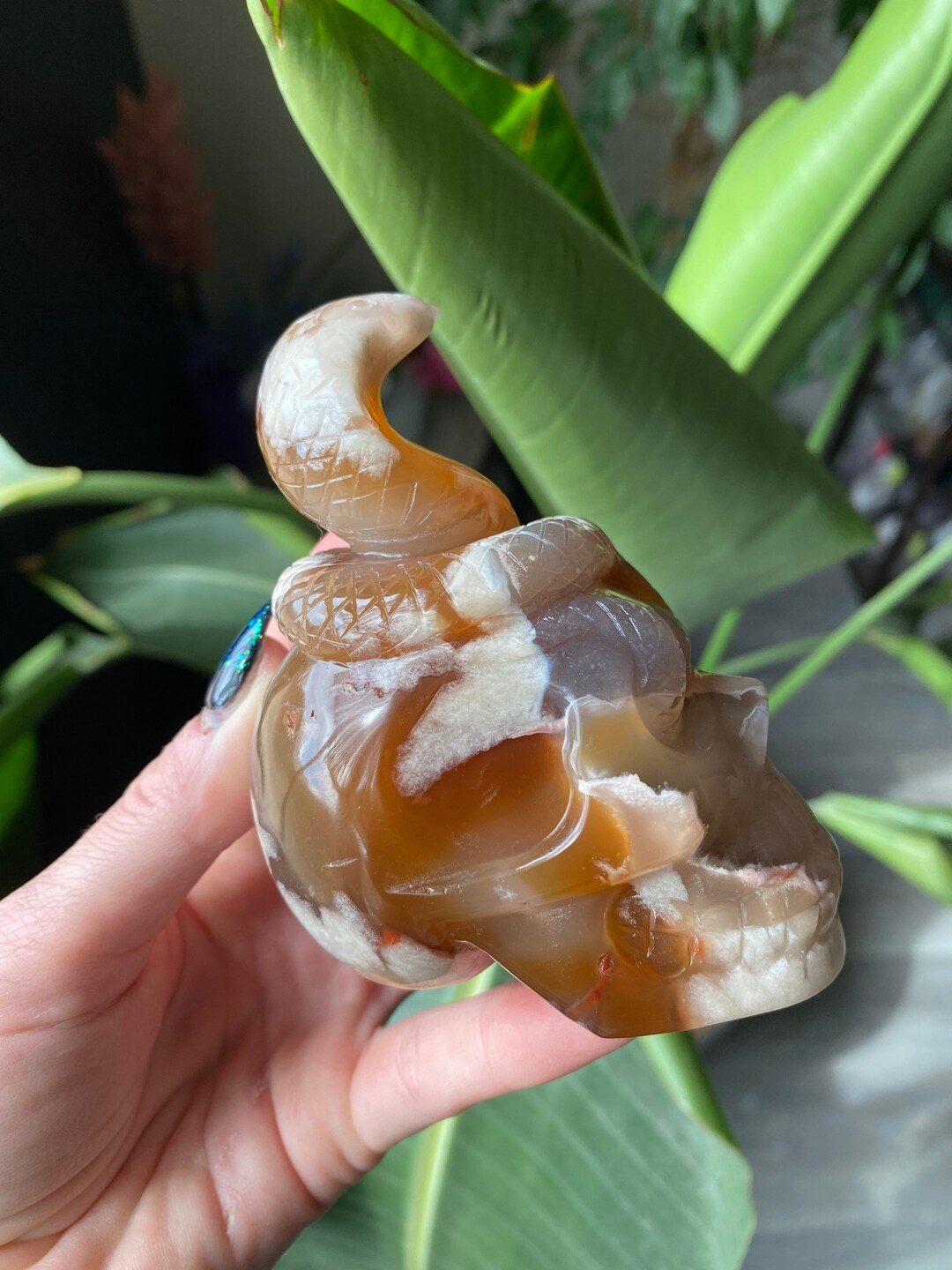 Flower Agate Skull & Snake Crystal | Natural Carved and Polished Stone ...