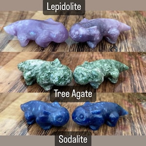 Crystal Axolotl Assorted | Polished Carved Natural Stone Salamander ...