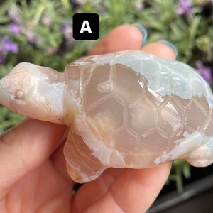 Flower Agate Turtle Carved and Polished | Natural Crystal Tortoise ...
