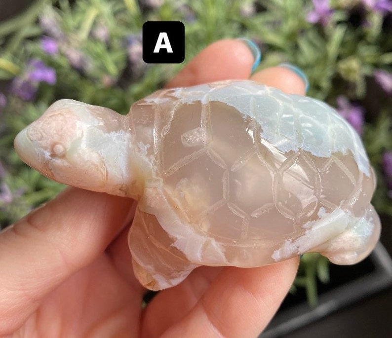 Flower Agate Turtle Carved and Polished Natural Crystal - Etsy