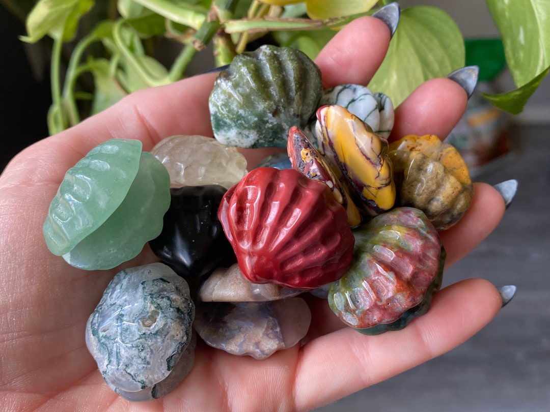 Crystal Clam Shell | Carved and Polished Natural Stone Ocean Seashell ...