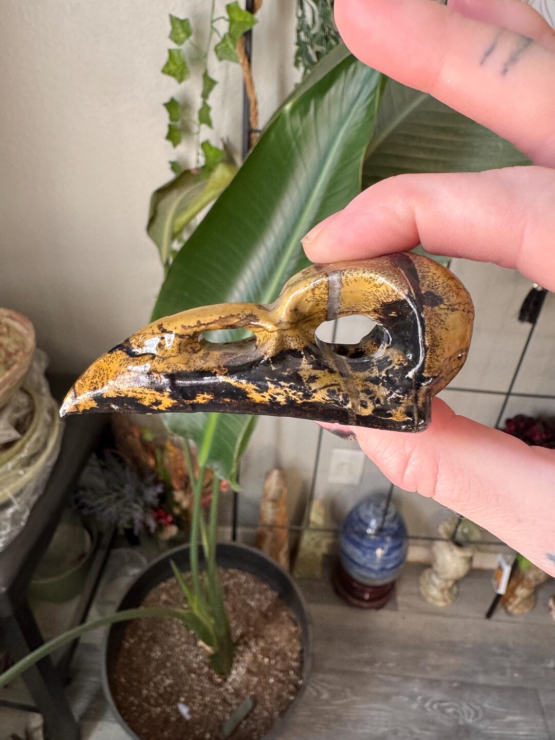 Picture Jasper Raven Skull Crystal | Natural Carved and Polished Stone ...
