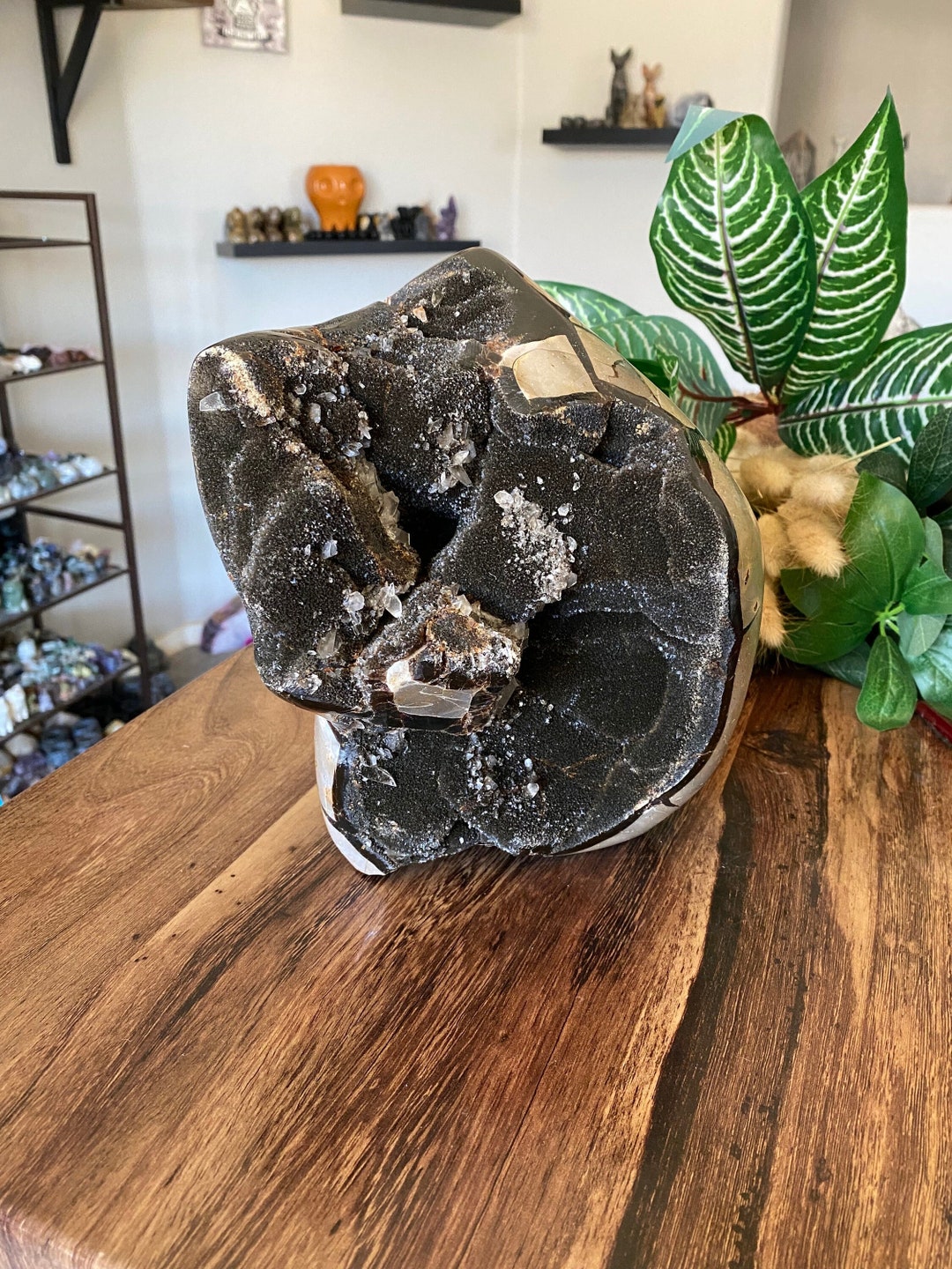 12.5lb Septarian Stone Geode Crystal Large XL | Natural Dragon Stone ...