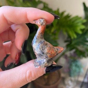 Red Que Sera Goose Crystal | Llanite Stone Carved and Polished Duck ...