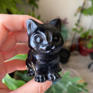 Black Obsidian Cat Crystal | Natural Stone Carved and Polished Sitting ...