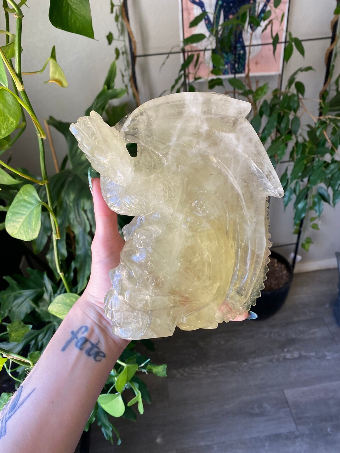 4.1lb Citrine Quartz Dragon on Skull Carving Large | Natural Stone ...