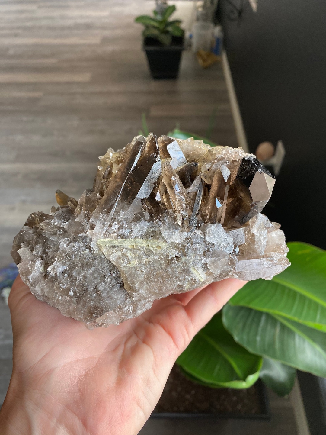 Racimo de cristal de cuarzo ahumado de 3 libras natural crudo ...