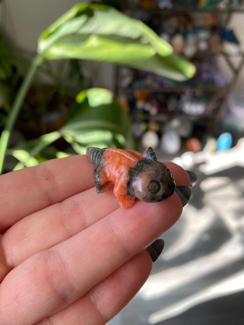 Crystal Axolotl Assorted Polished Carved Natural Stone - Etsy