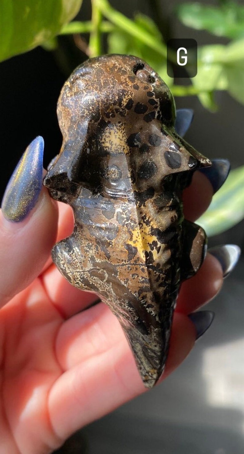 Picture Jasper Axolotl Crystal Natural Carved and Polished - Etsy