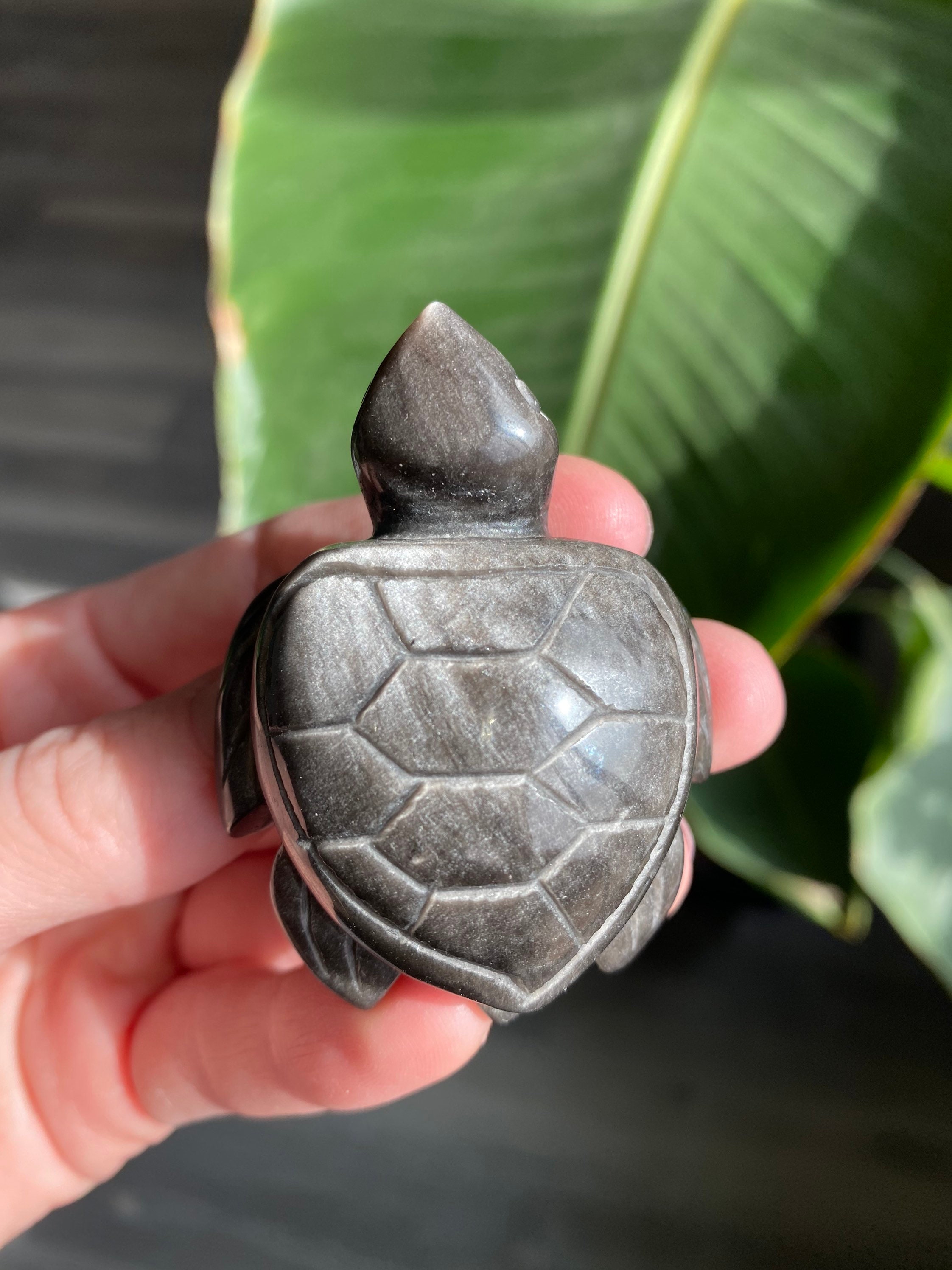 Black Obsidian Silver Sheen Turtle Natural Carved and | Etsy