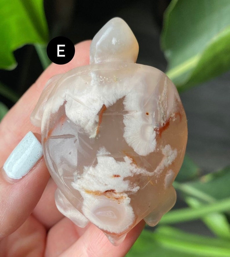 Flower Agate Turtle Carved and Polished Natural Crystal - Etsy