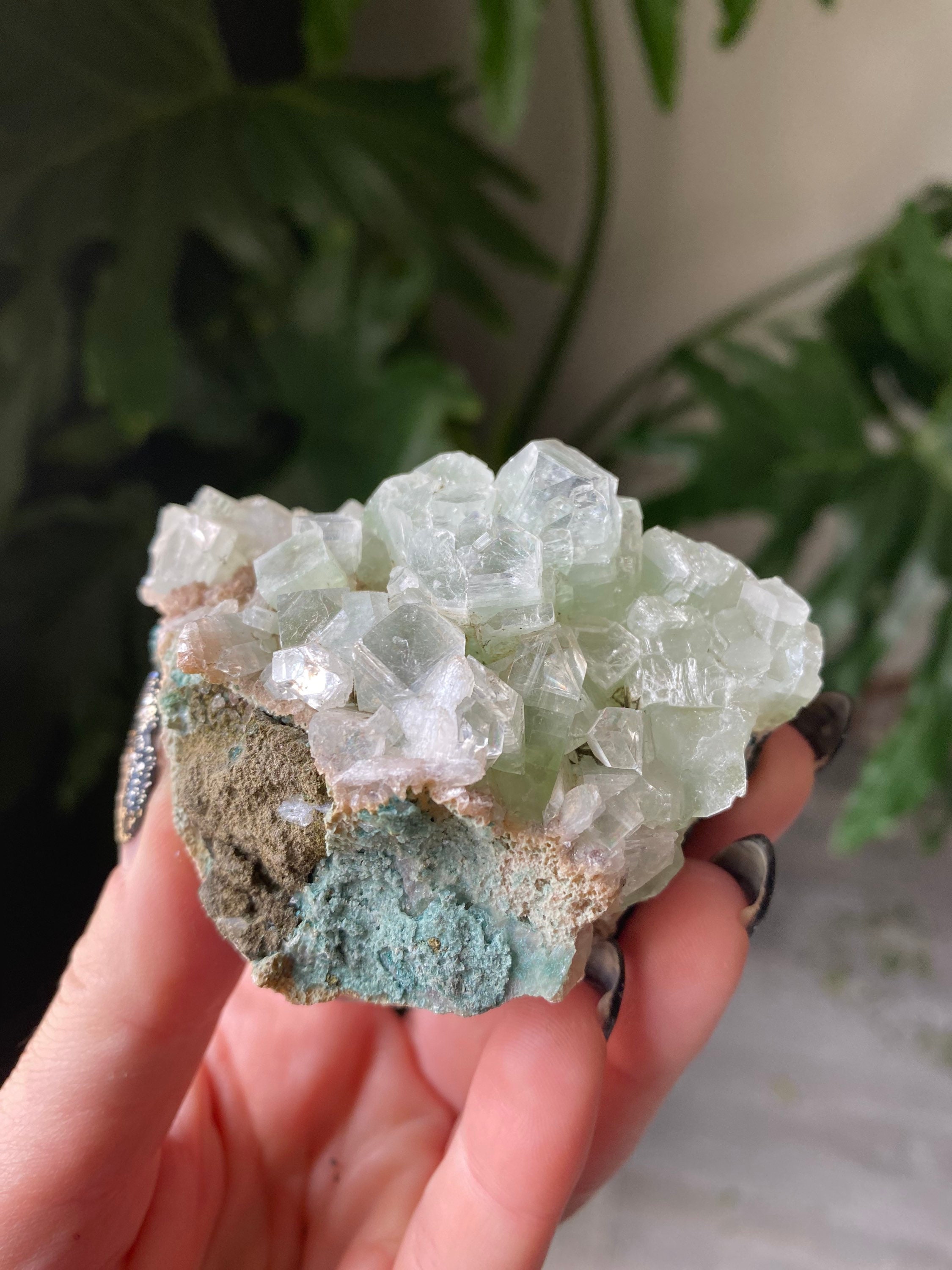 Green Apophyllite Crystal Cluster Natural Raw Rough Stone - Etsy