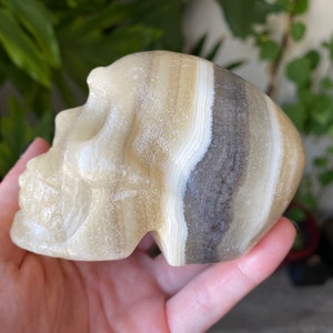 1.2lb Zebra Calcite Skull Crystal | Natural Stone Carved Phantom ...