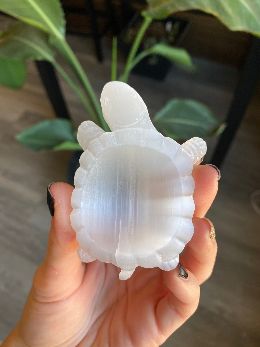 Selenite Turtle Dish | Selenite Natural Crystal Mini Bowl Sphere Holder ...