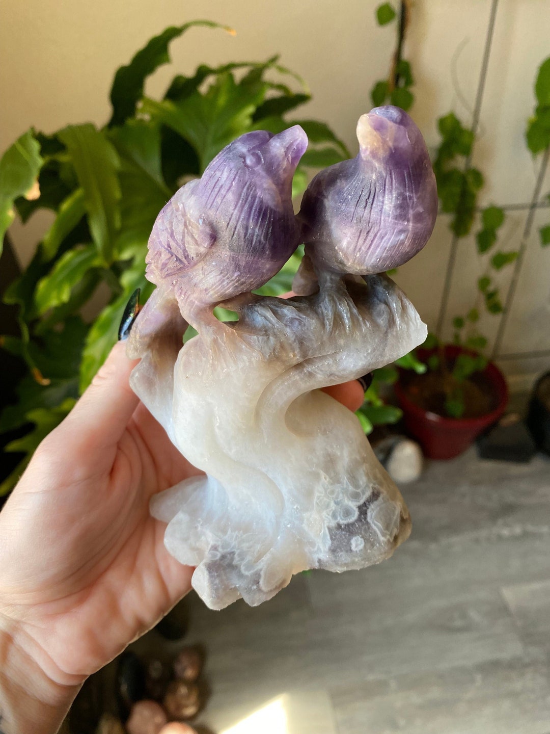 1.4lb Chevron Amethyst Birds in Tree Crystal | Dream Amethyst Natural ...