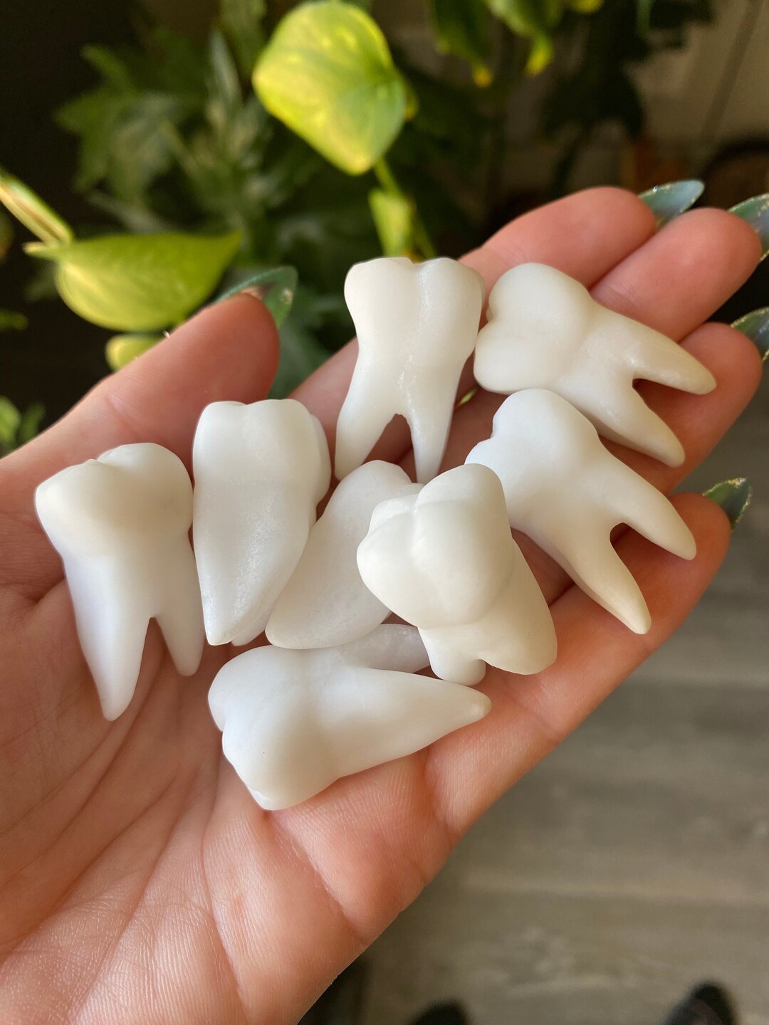 White Jade Tooth Crystal | Natural Stone Carved and Polished Anatomical ...