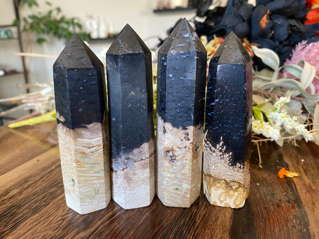 Palm Root Crystal Tower Point | Natural Carved and Polished Fossilized ...