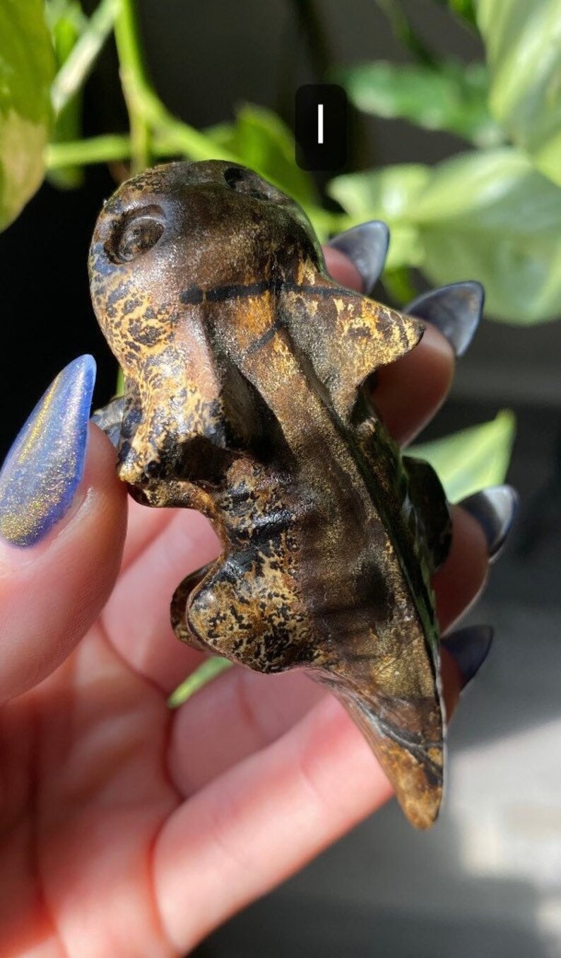 Picture Jasper Axolotl Crystal Natural Carved and Polished - Etsy