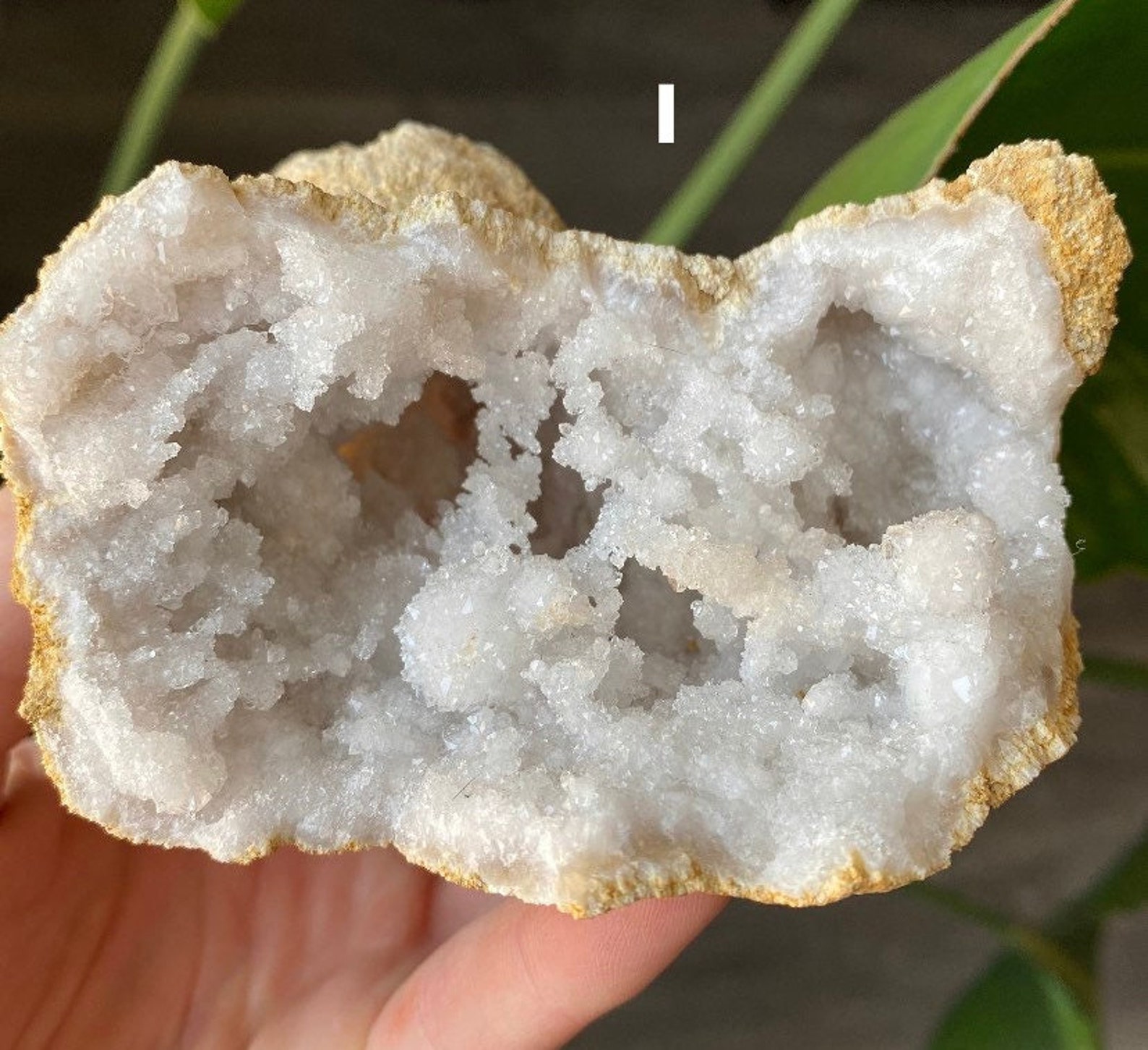 Clear Quartz Cluster Geode Half Natural Raw Metaphysical - Etsy