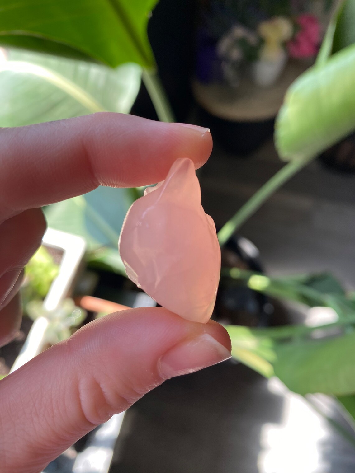 Rose Quartz Anatomical Heart Crystal Mini Natural Rose - Etsy