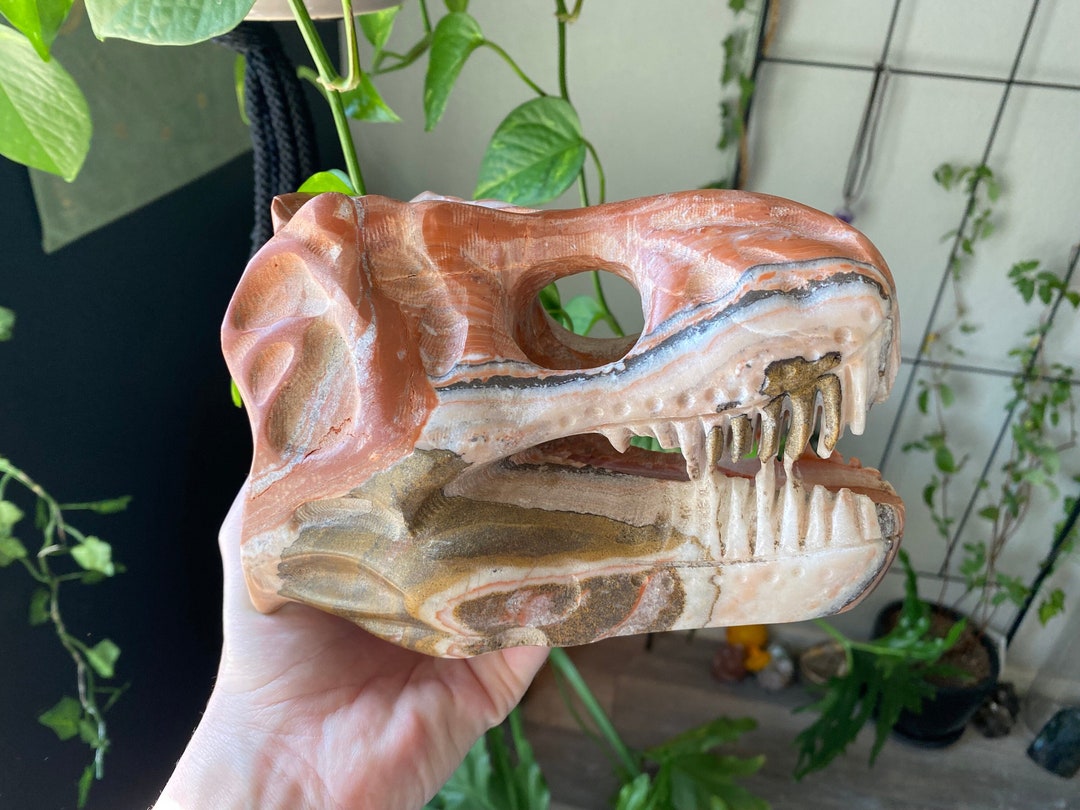 4.7lb Red & Yellow Calcite T-rex Dinosaur Head Crystal | Natural Stone ...