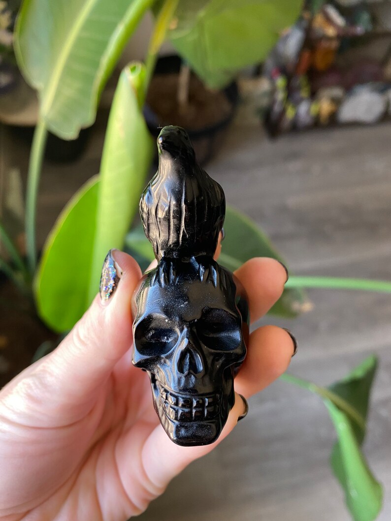 Black Obsidian Skull and Raven Crow Bird | Crystal Metaphysical Witchy ...