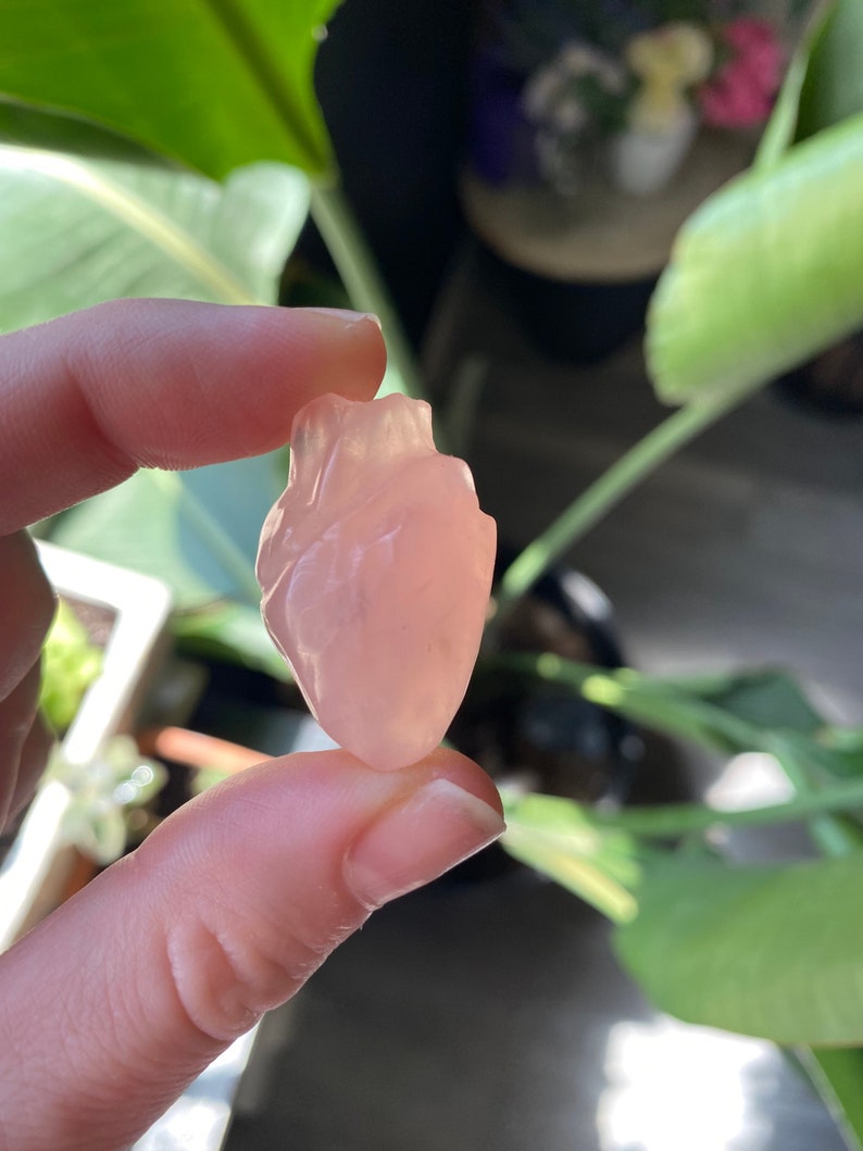 Rose Quartz Anatomical Heart Crystal Mini Natural Rose - Etsy