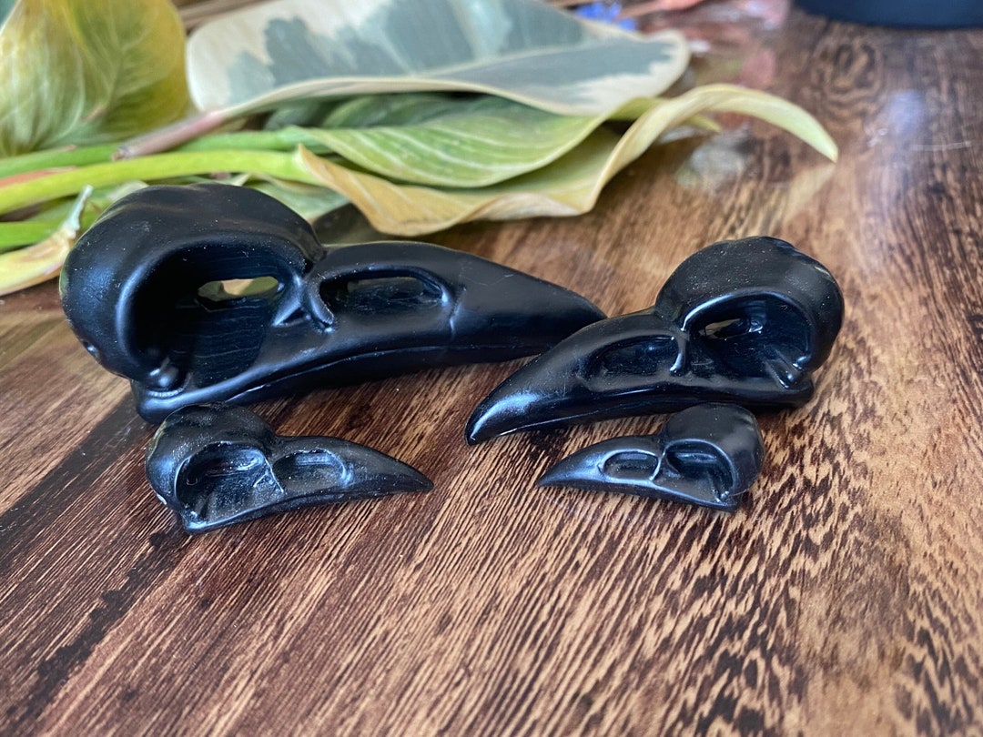 Black Obsidian Raven Crow Skull | Crystal Bird Skull | Crystal Witchy ...