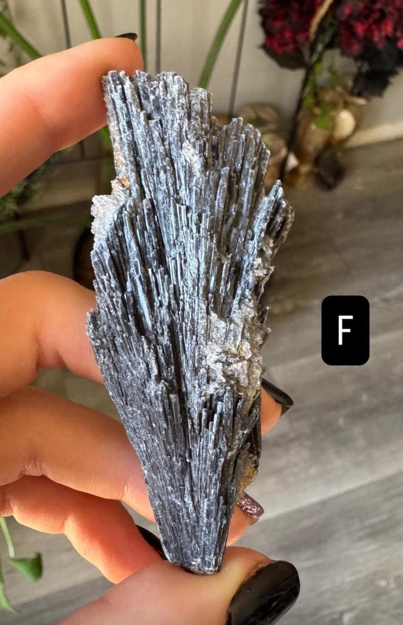 Black Kyanite Crystal | Natural Raw Rough Gemstone Mineral Specimen ...