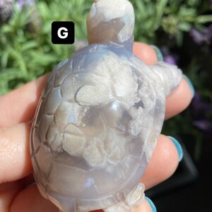Flower Agate Turtle Carved and Polished | Natural Crystal Tortoise ...