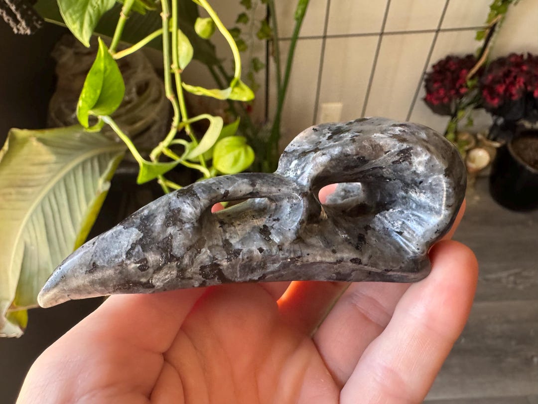 Larvikite Raven Skull Crystal | Natural Stone Carved and Polished Crow ...