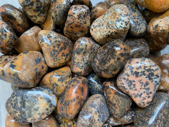 Cheetah Agate Natural Tumbled Polished Stone Cheetah Jasper - Etsy
