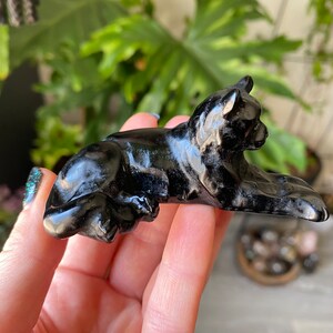 Black Obsidian Cat Crystal | Natural Stone Carved and Polished Laying ...