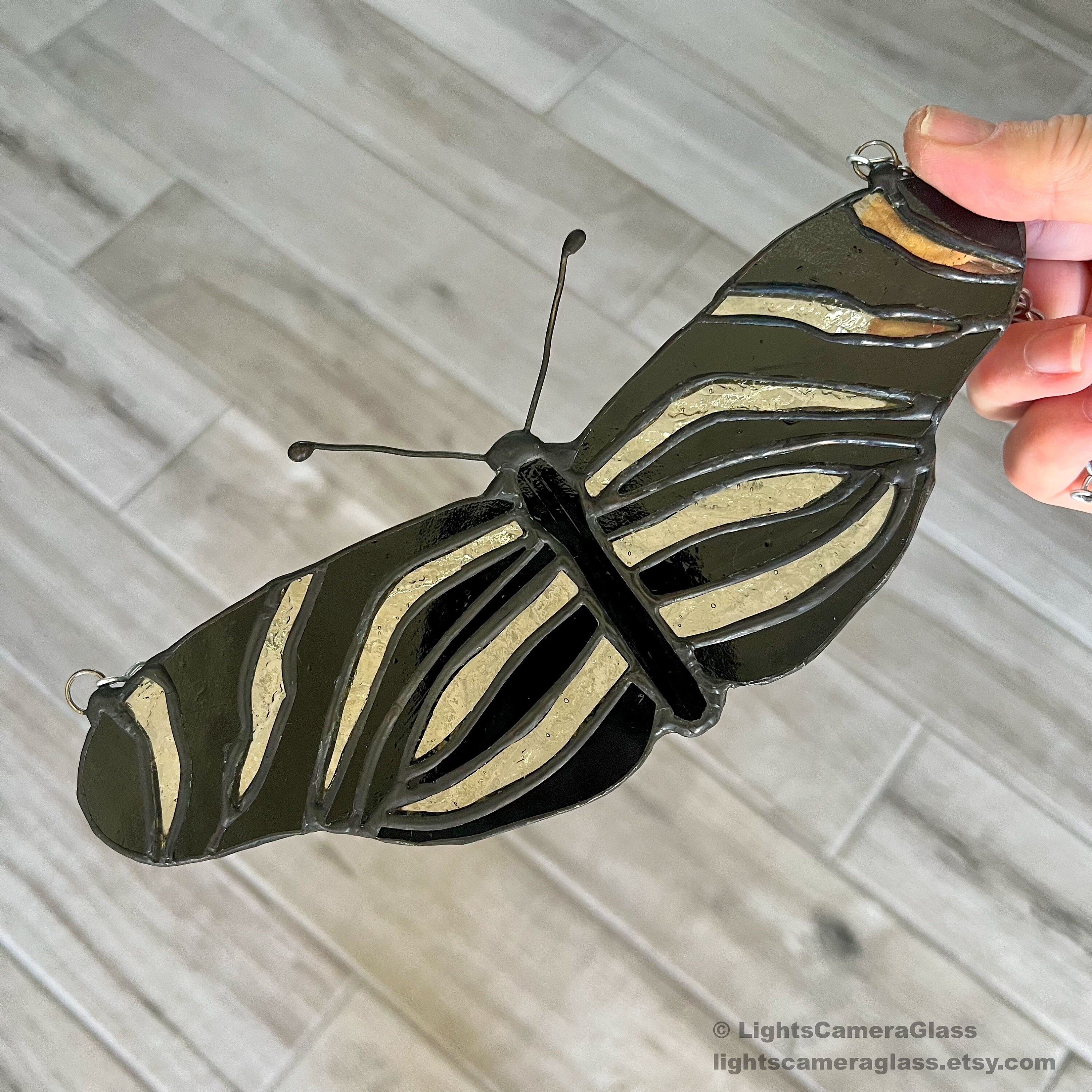 Zebra Longwing Butterfly Drawing