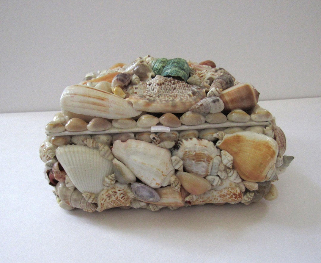 Seashell Container Jewelry Box - Etsy
