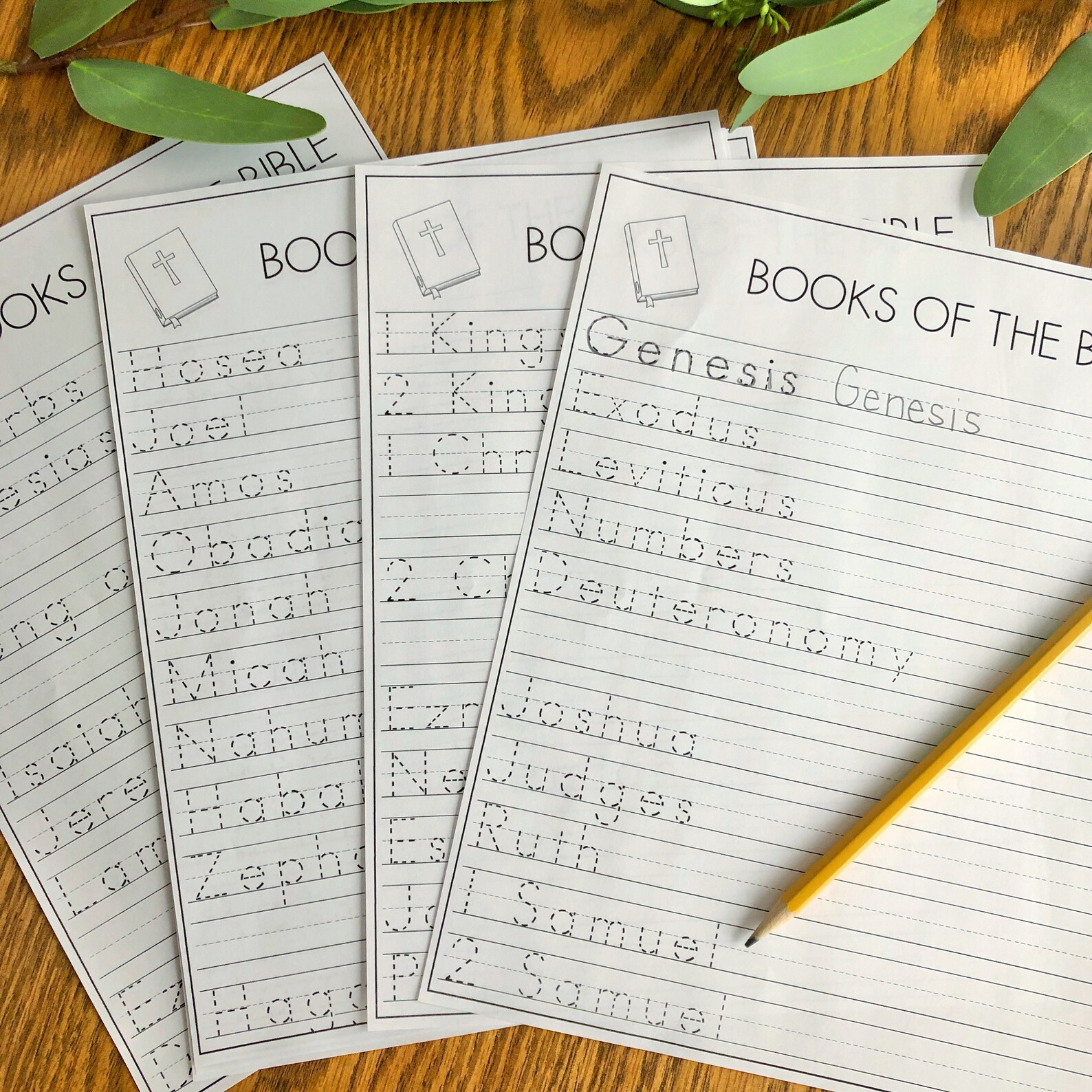 Books of the Bible Study Materials | All Scripture is God Breathed ...