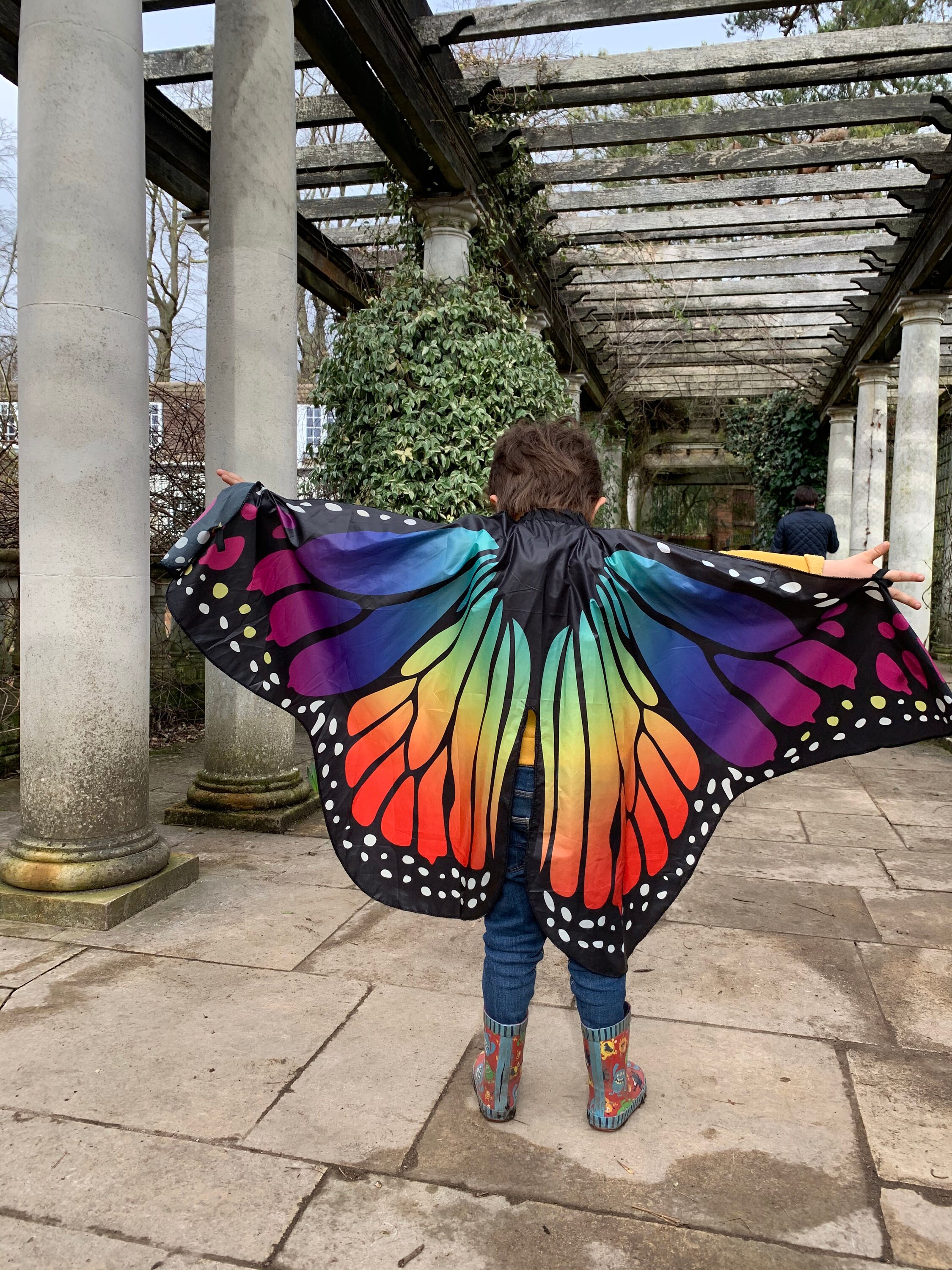 Butterfly Carnival Cape Wings - Etsy UK