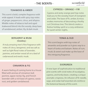 Smells Like Jamie Fraser Soy Candle, Greenery Living Room Decor ...