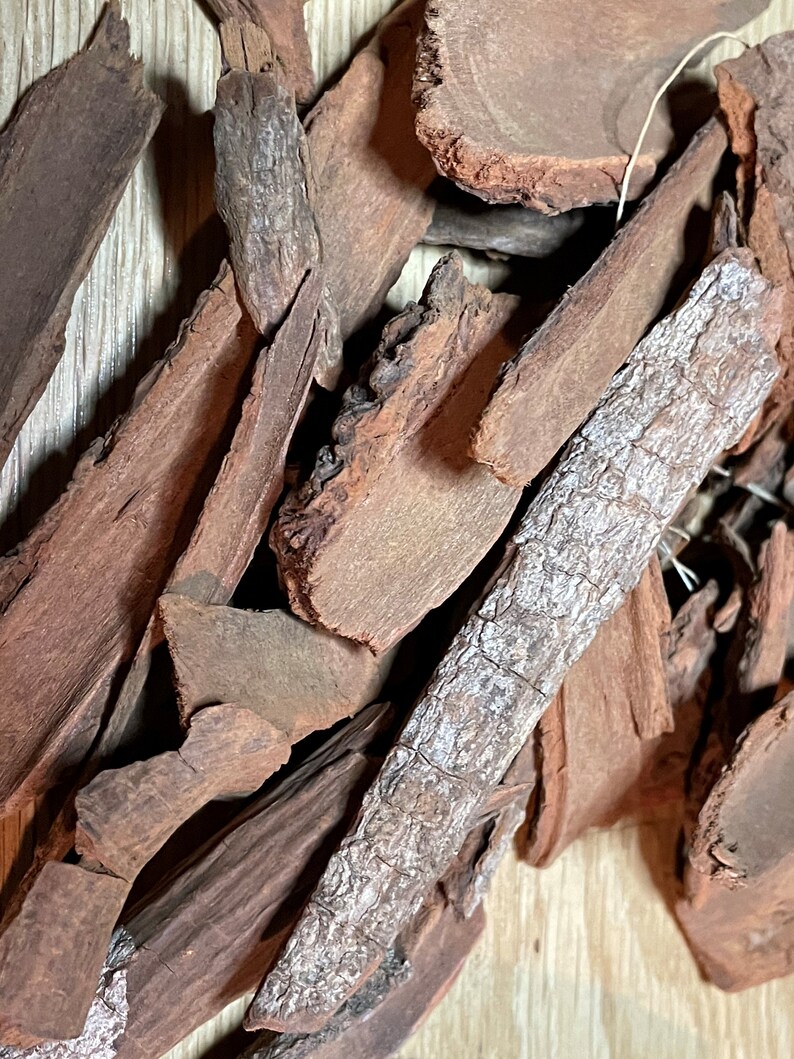 CINCHONA BARK Aka Peruvian Bark 1 Oz. cinchona Succirubra - Etsy