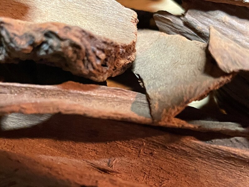 CINCHONA BARK Aka Peruvian Bark 1 Oz. cinchona Succirubra - Etsy