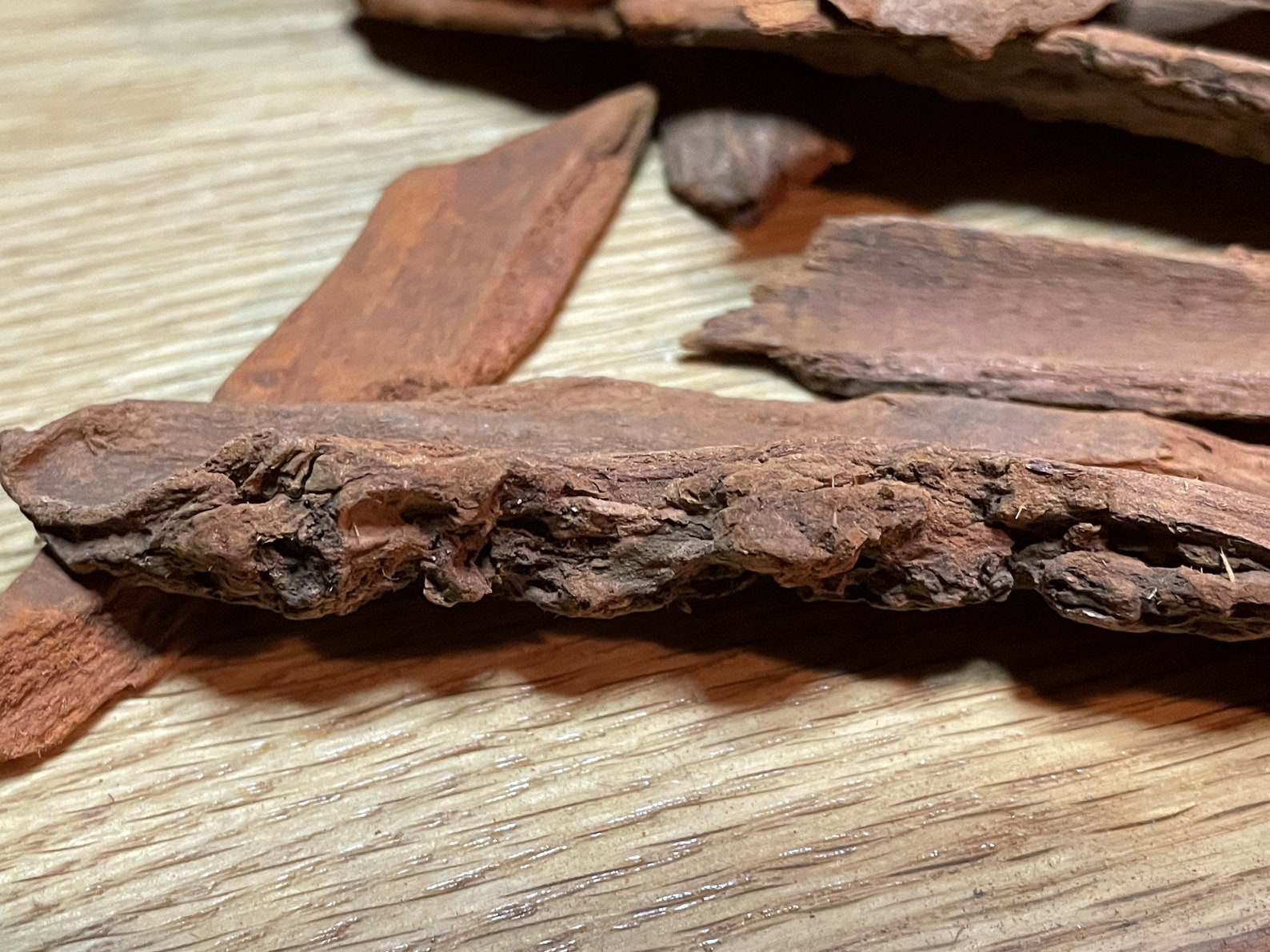 CINCHONA BARK Aka Peruvian Bark 1 Oz. cinchona Succirubra - Etsy